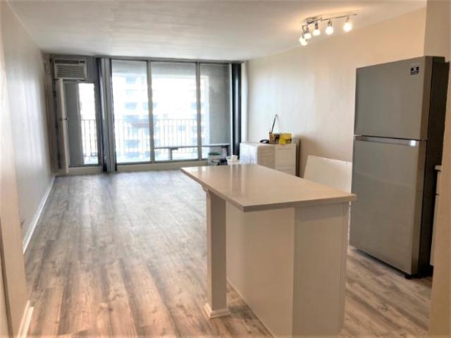 Studio, 1 bath, Condo 1960 N Lincoln Park W