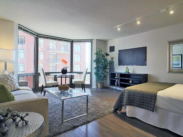 Studio, 1 bath, Condo 1115 N Dearborn Street