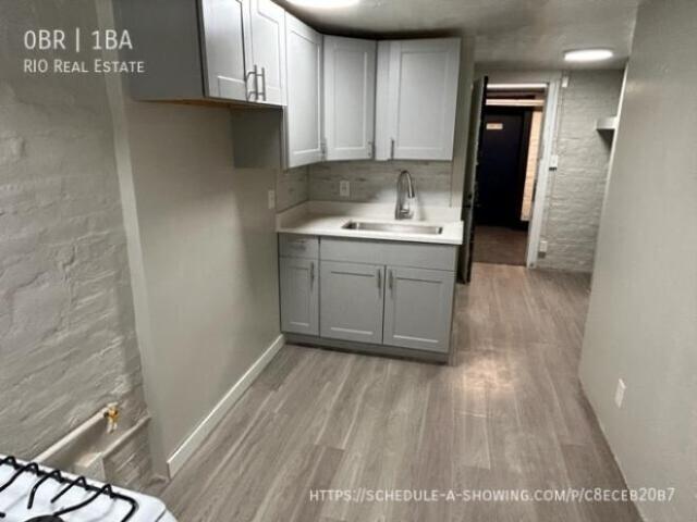 Studio, 1 bath, Condo 1115 N Logan St