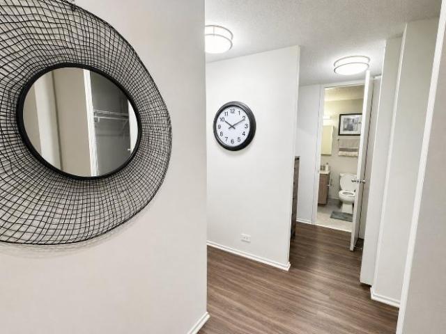 Studio, 1 bath, Condo 1122 N Dearborn