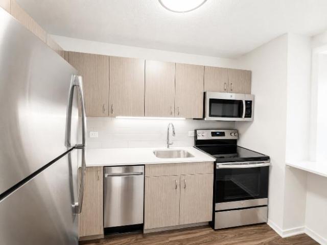 Studio, 1 bath, Condo 1122 N Dearborn