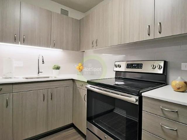 Studio, 1 bath, Condo 1140 N Dearborn