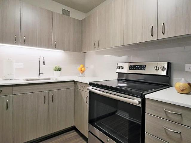 Studio, 1 bath, Condo 1140 N Dearborn St