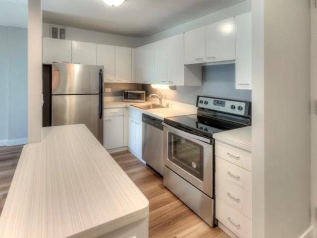 Studio, 1 bath, Condo 1171 S Michigan