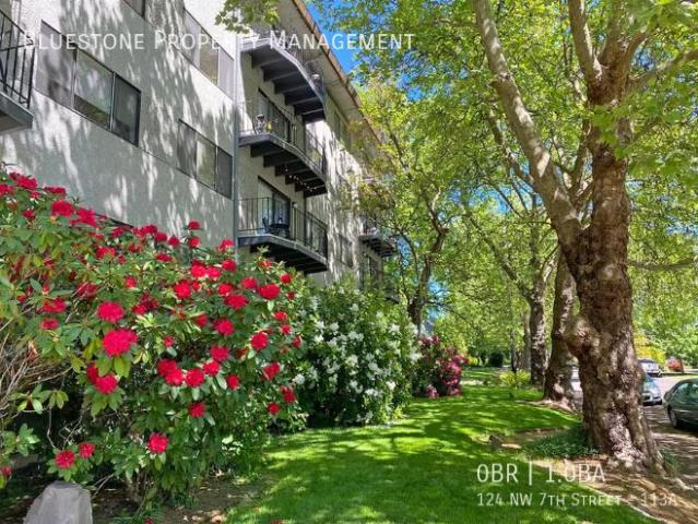 Studio, 1 bath, Condo 124 NW 7th Street