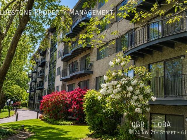 Studio, 1 bath, Condo 124 NW 7th Street