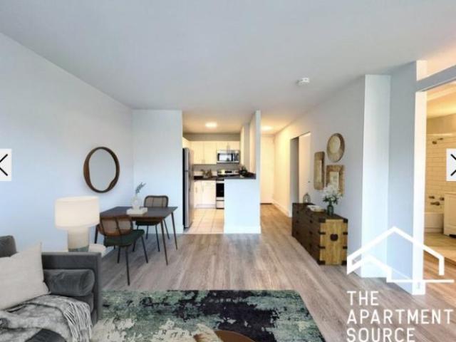 Studio, 1 bath, Condo 1344 N Dearborn St