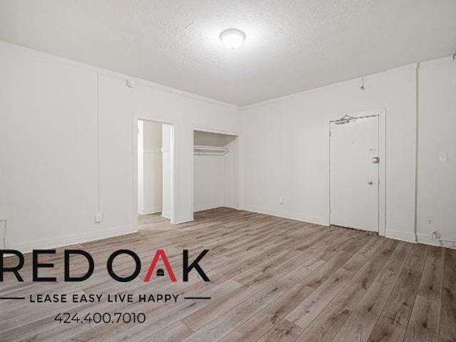 Studio, 1 bath, Condo 246 S Kenmore Ave