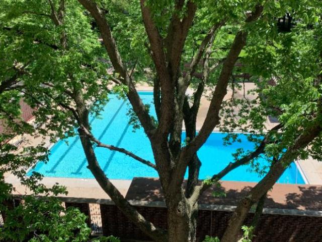 Studio, 1 bath, Condo 2901 S Michigan
