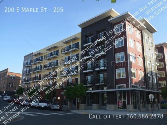 Studio, 1 bath, Condo 200 E Maple St