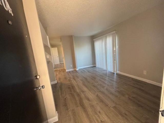 Studio, 1 bath, Condo 2010 Estrada Pkwy