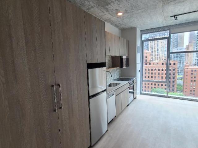 Studio, 1 bath, Condo 216 W Chicago Ave