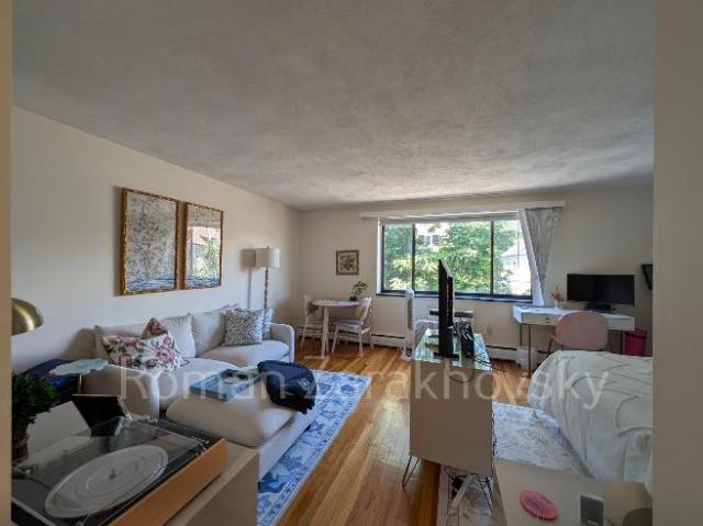 Studio, 1 bath, Condo 226 Babcock St