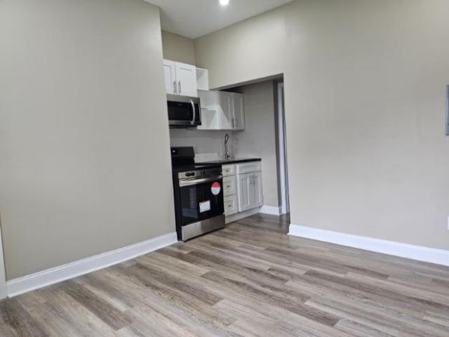 Studio, 1 bath, Condo 233 W Madison St