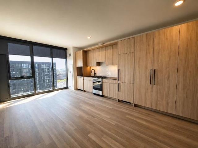 Studio, 1 bath, Condo 230 N Ada St