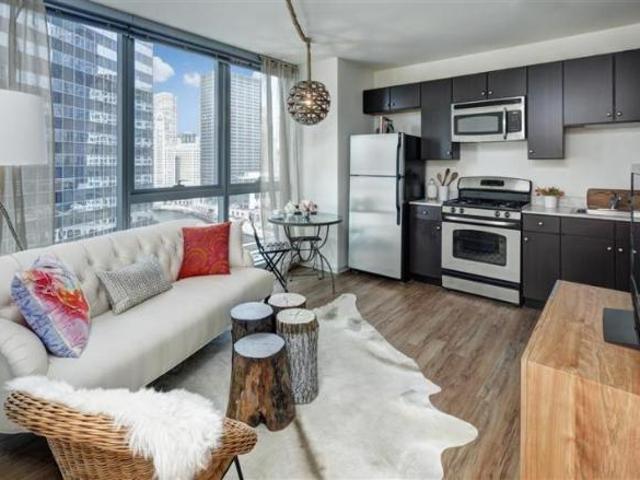 Studio, 1 bath, Condo 340 E Wacker Dr