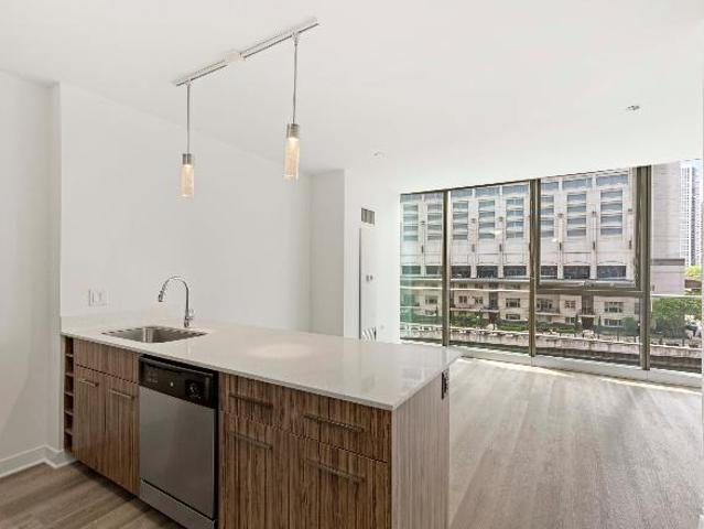 Studio, 1 bath, Condo 349 W Wolf Point Plaza