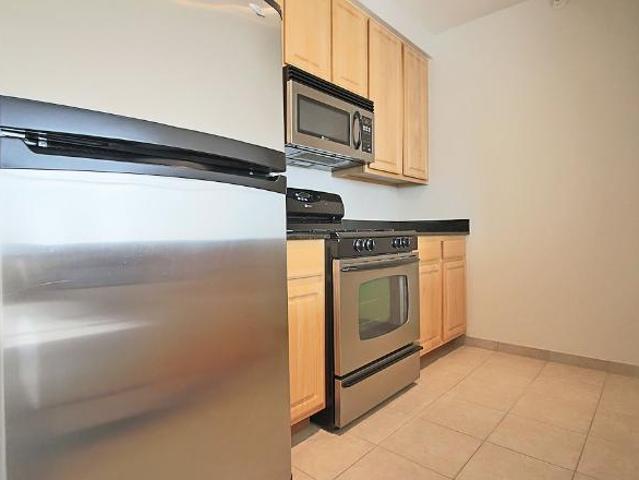 Studio, 1 bath, Condo 350 N Desplaines