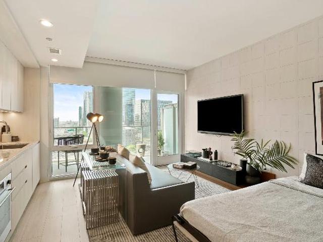 Studio, 1 bath, Condo 355 N Union