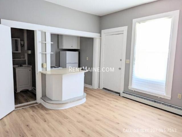 Studio, 1 bath, Condo 378 Hammond St