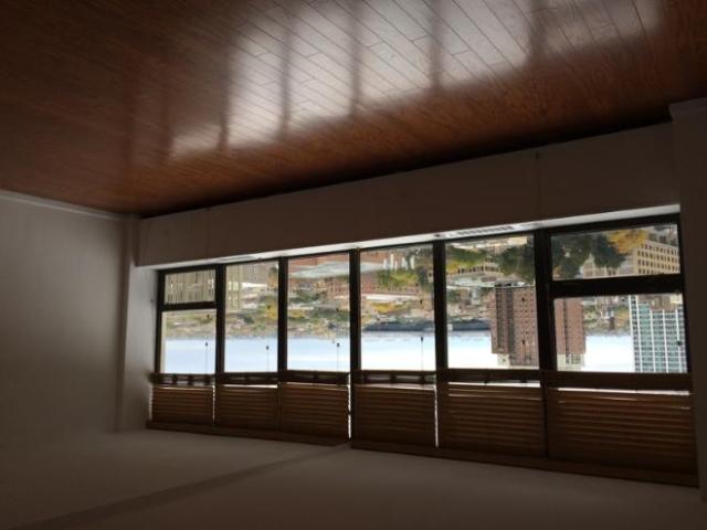 Studio, 1 bath, Condo 3930 N Pine Grove Ave