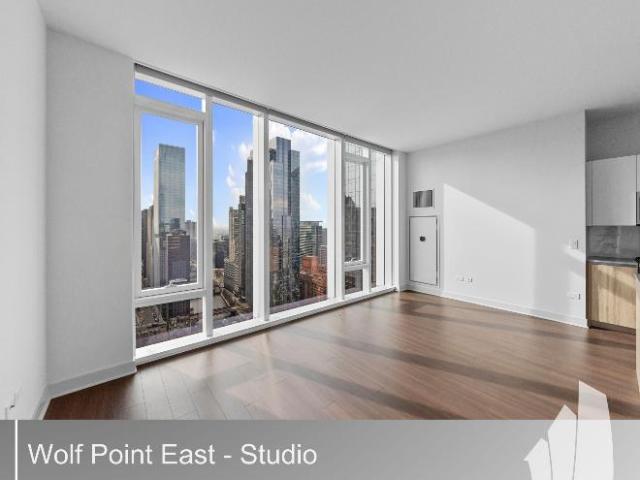 Studio, 1 bath, Condo 313 West Wolf Point Plaza