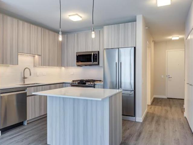Studio, 1 bath, Condo 336 E Wacker