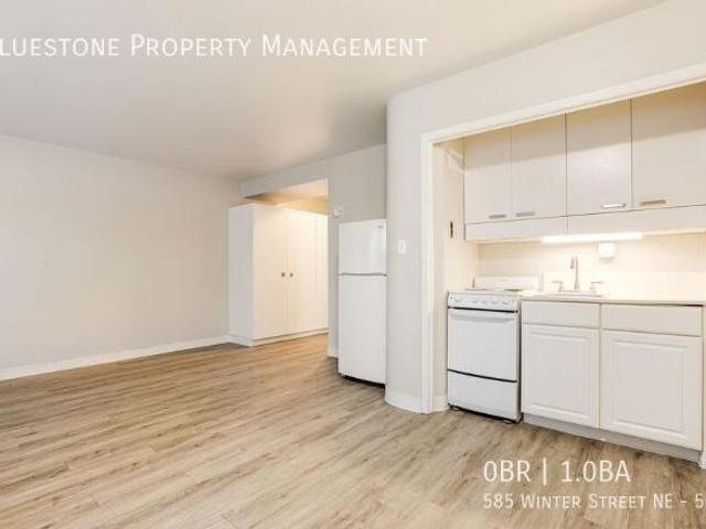 Studio, 1 bath, Condo 585 Winter Street Ne