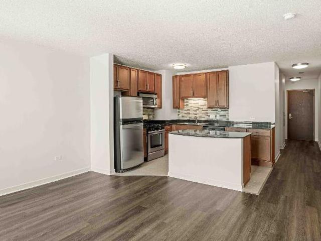 Studio, 1 bath, Condo 589 W Kinzie St