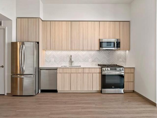 Studio, 1 bath, Condo 509 W Damen Ave