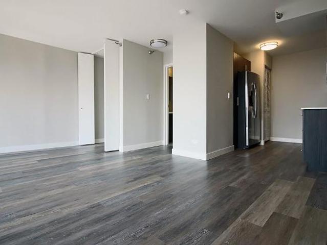 Studio, 1 bath, Condo 5 E Delaware Pl