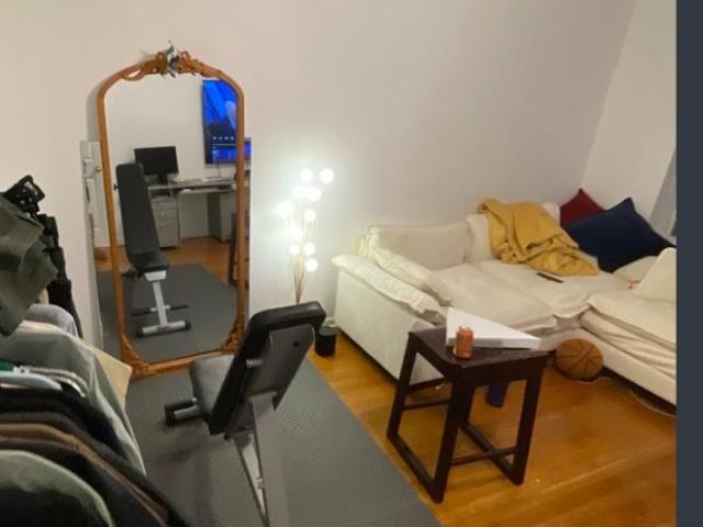 Studio, 1 bath, Condo 685 W Wrightwood Avenue