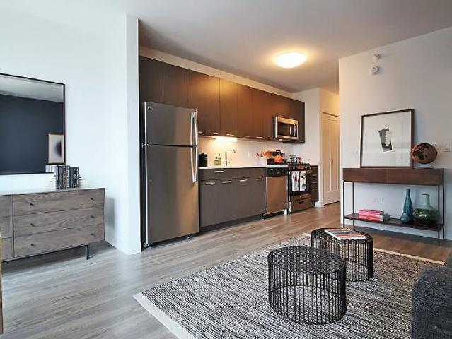Studio, 1 bath, Condo 693 N Wells