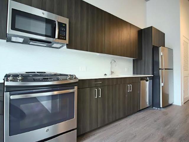 Studio, 1 bath, Condo 745 N Carpenter St