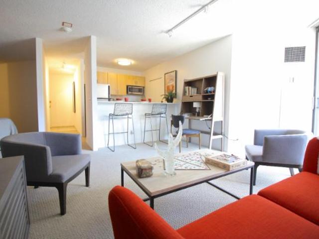 Studio, 1 bath, Condo 746 N Dearborn