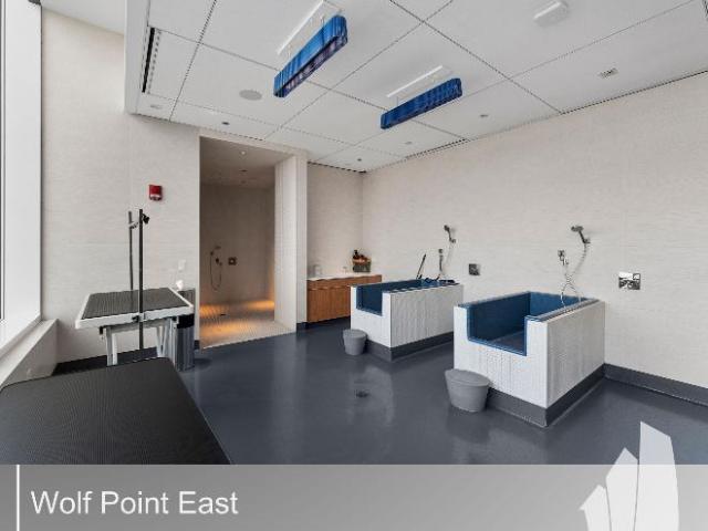 Studio, 1 bath, Condo 71 West Hubbard St