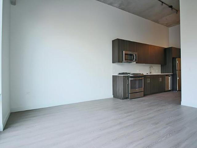 Studio, 1 bath, Condo 727 N Milwaukee Ave
