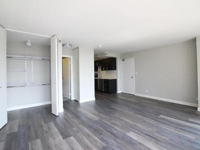 Studio, 1 bath, Condo 866 N Wabash Ave