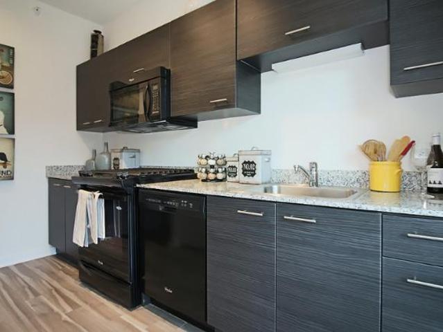 Studio, 1 bath, Condo 800 N Lasalle St