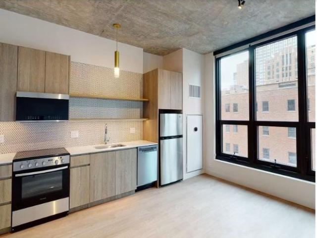 Studio, 1 bath, Condo 815 N Wells