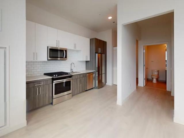 Studio, 1 bath, Condo 815 S Michigan Ave