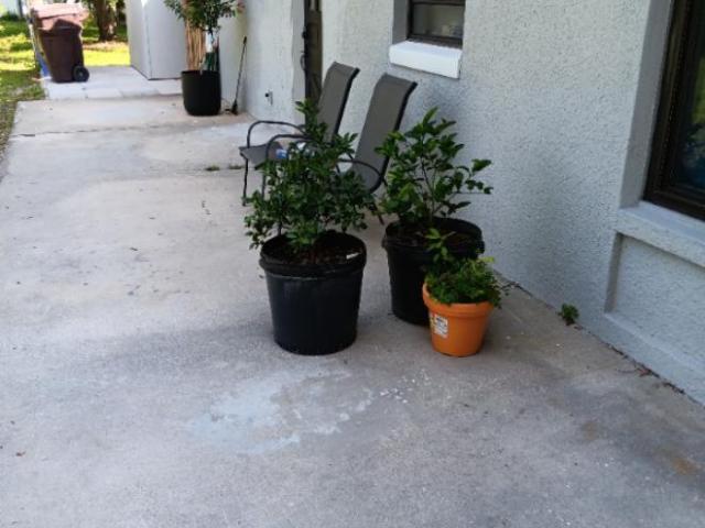 Studio, 1 bath, Single Family 1114 Catherine St
