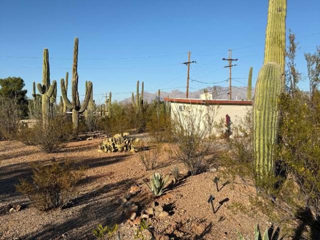 Studio, 1 bath, Single Family 1702 N Greasewood Rd