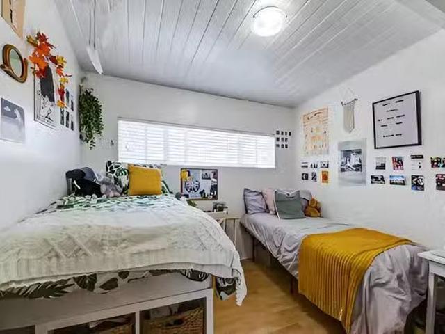 Studio 6563 Trigo 202 DBL