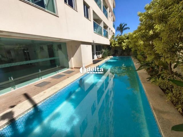 Studio Com 1 Quarto, Disponível Para Locação No Bairro Morada Da Colina Em Uberlândia Mg