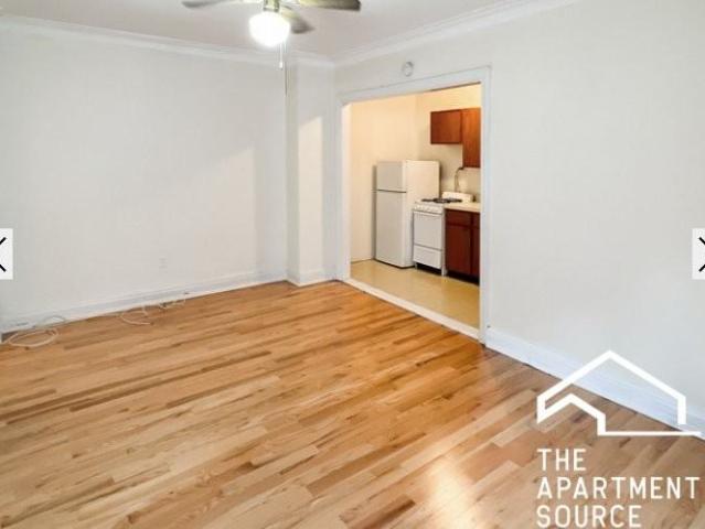 Studio Condo for Rent at 542 W Briar Pl #10, Chicago, IL 60657 Lakeview