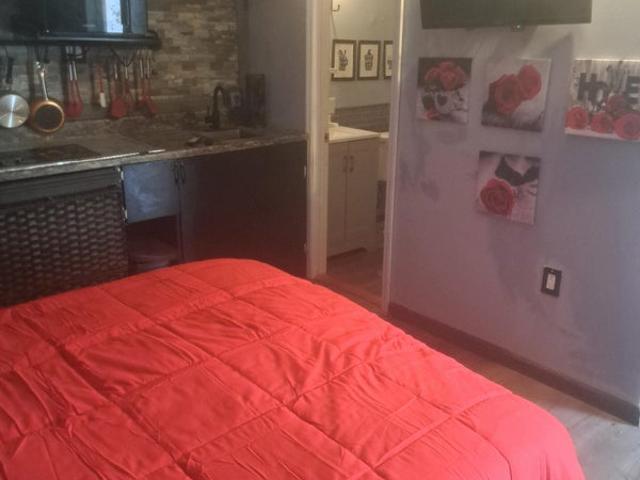 Studio and rooms for rent Davenport