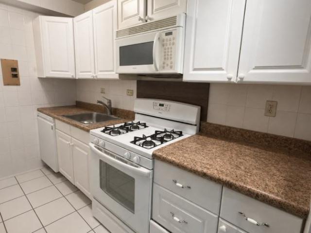Studio Apartment for Rent at N Marine Dr & W Lawrence Ave #207, Chicago, IL 60640 Uptown