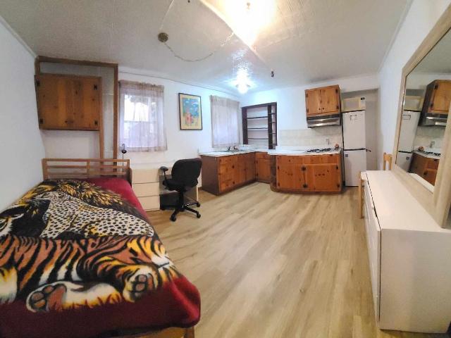 Studio Apartment for Rent at India St & Manhattan Ave #1 A, New York, NY 11222 Greenpoint