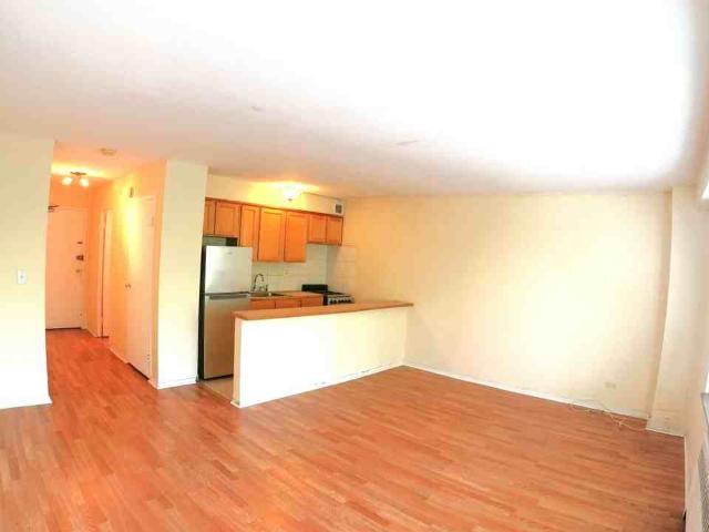 Studio Apartment for Rent at Lake Shore Drive & Barry #603, Chicago, IL 60657 Lakeview